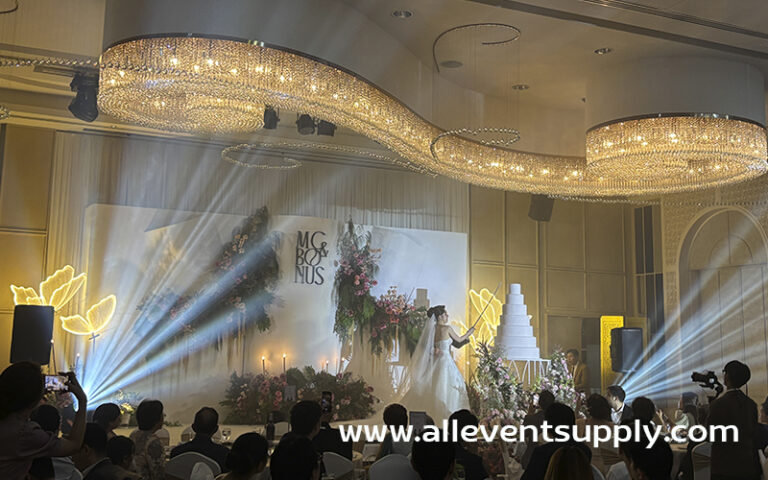 เครื่องเสียง ไฟงานแต่งงาน After Paert @U Sathorn Bangkok - All Event Supply